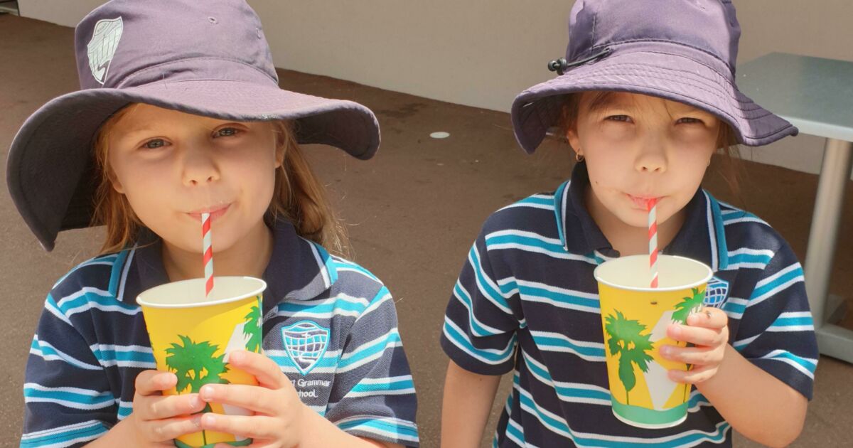 Milkshake Madness - Court Grammar School