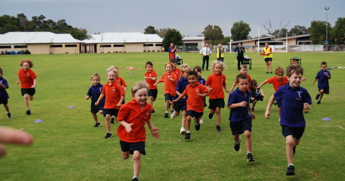 Primary School Cross Country - Court Grammar School